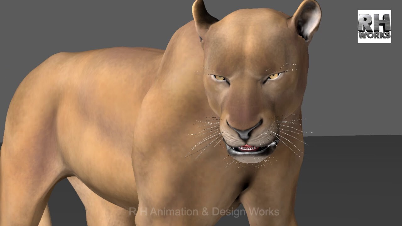 ArtStation - Lion Walk Cycle Animation