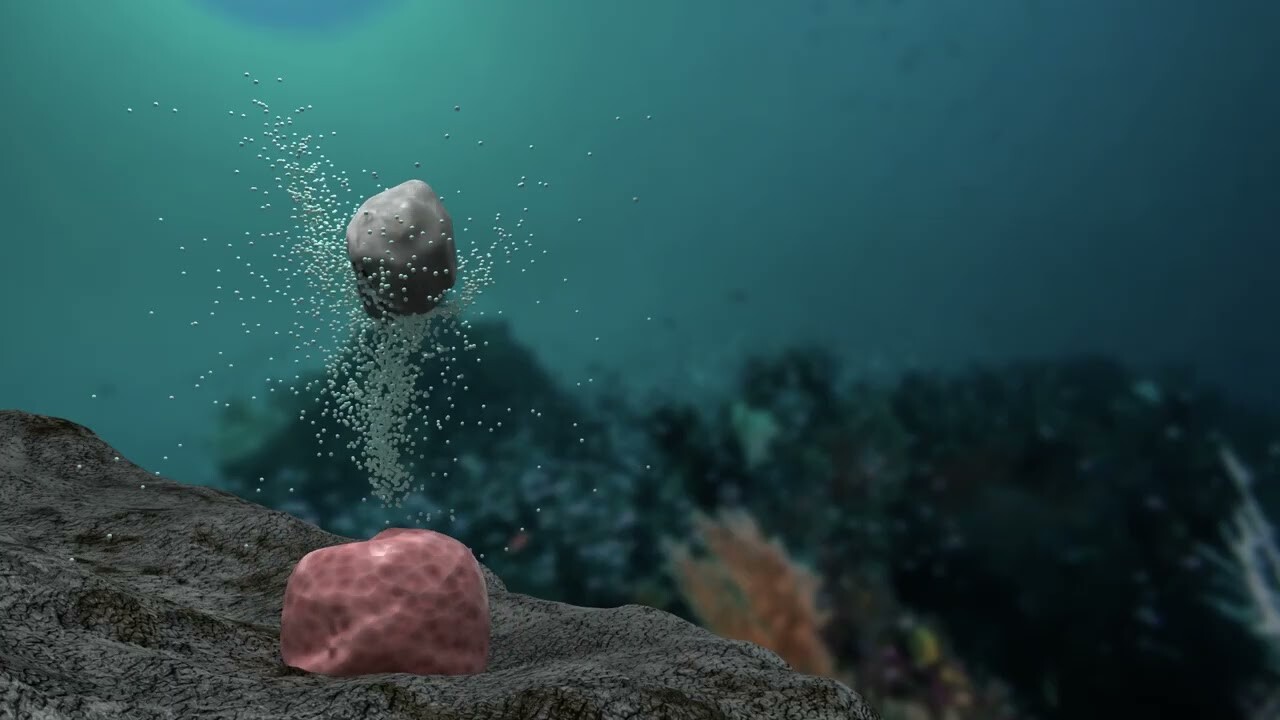 Andreas Mylonas - Underwater spawn - Houdini Vellum study