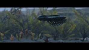 ArtStation - Documentary Trilobite 3D Scenes