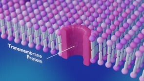 ArtStation - Lipid animation