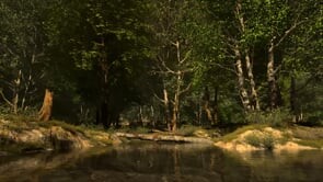 ArtStation - Shady Creek 2