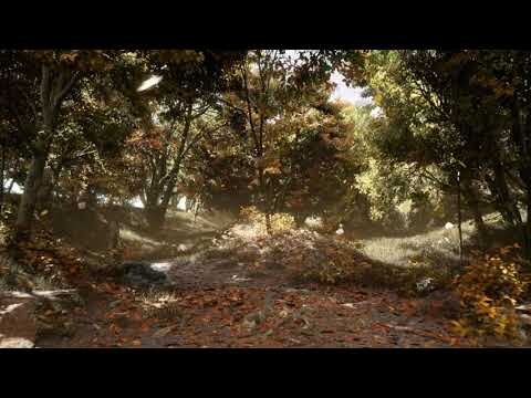 ArtStation - Unreal Engine 5 Autumn Forest
