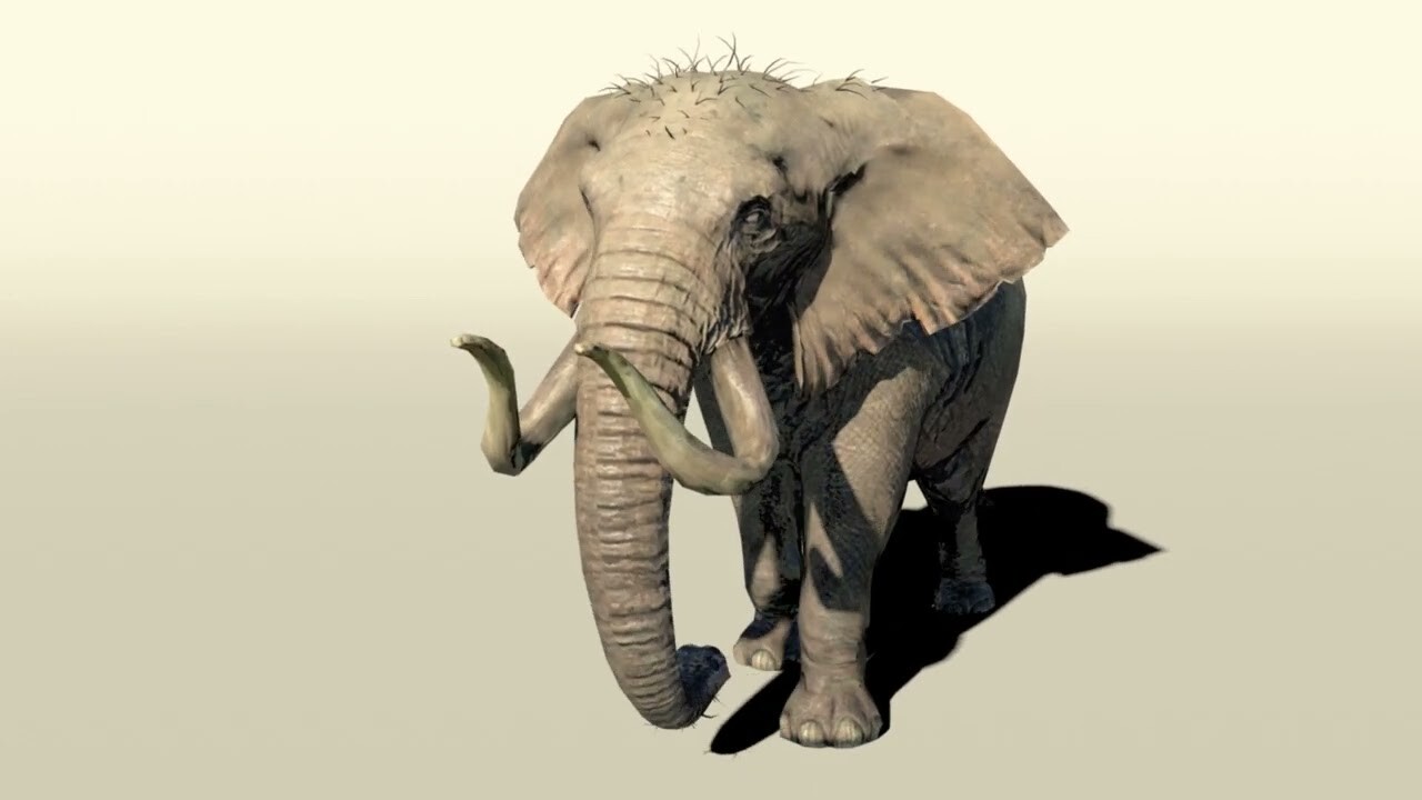 ArtStation - 3D Elephant Animation