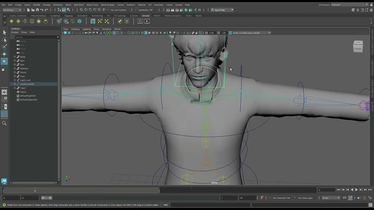 ArtStation - Human Rigging