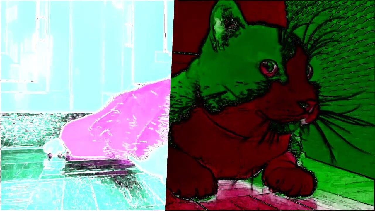 ArtStation - Cat Rave