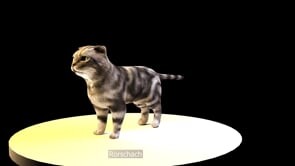 ArtStation - Cat Rig - Rorschach