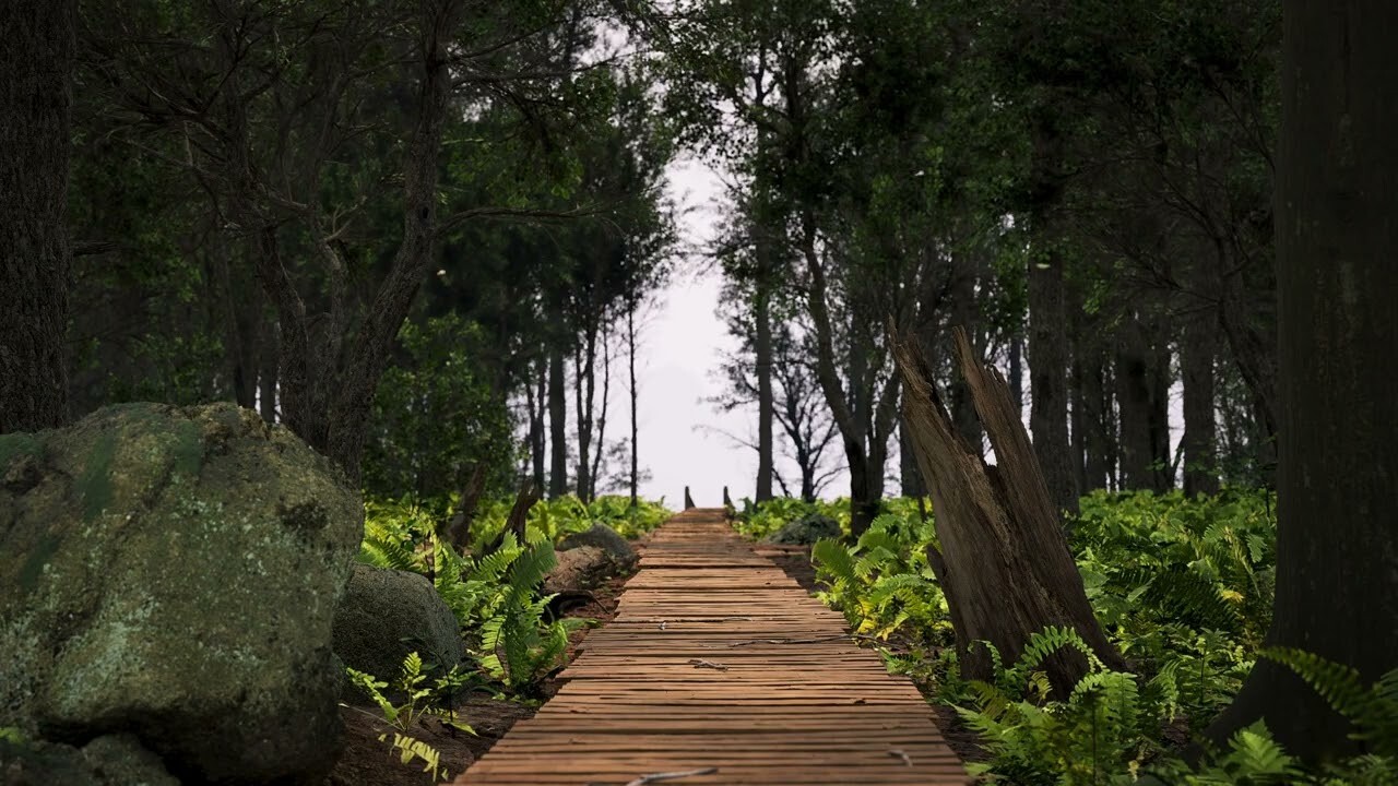 ArtStation - Path in the Woods