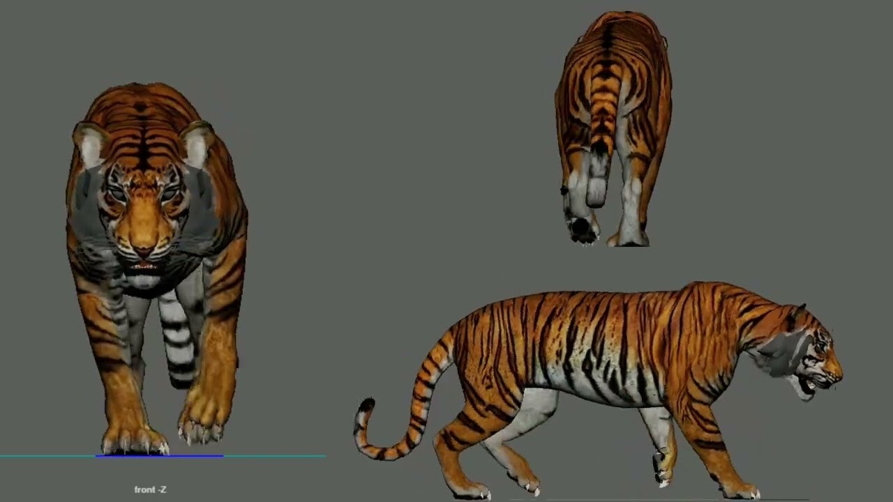 ArtStation - Tiger Walk