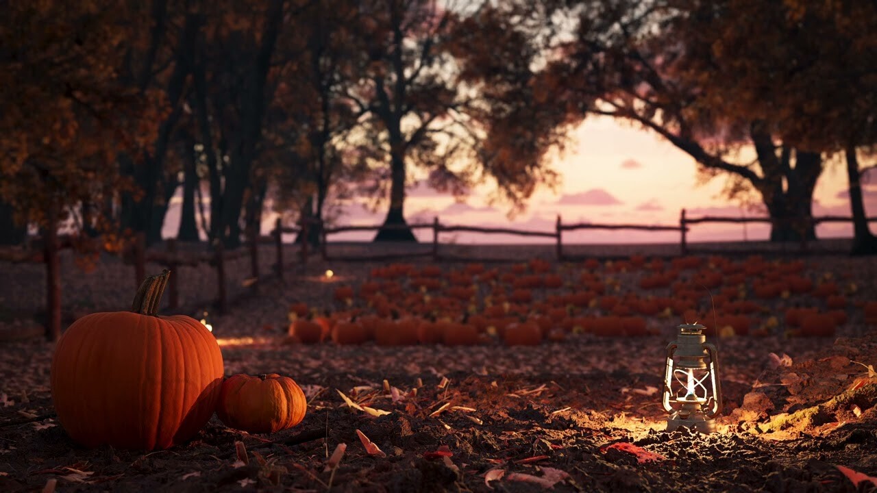 ArtStation - The Pumpkin Patch
