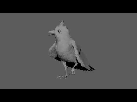 ArtStation - Bird Animation - SCHOOL PROJECT
