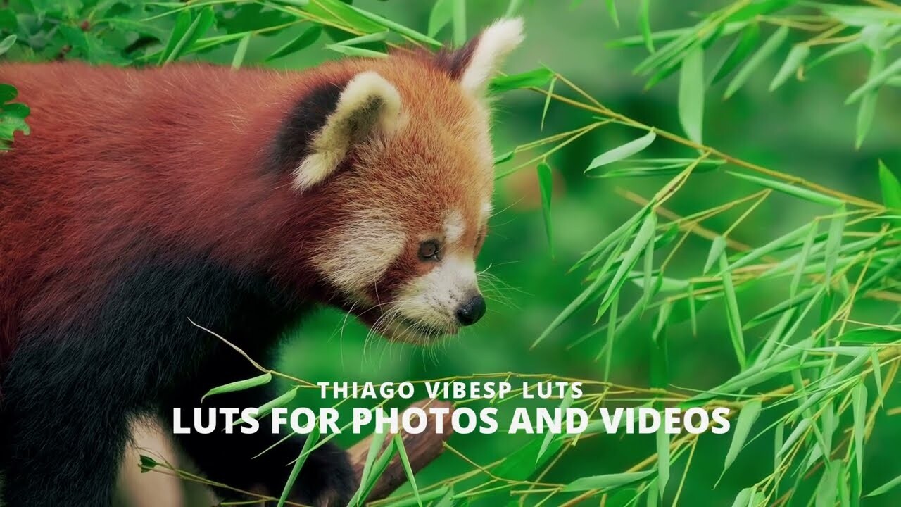 ArtStation - Cinematic Film LUTs Tones for Photos and Videos