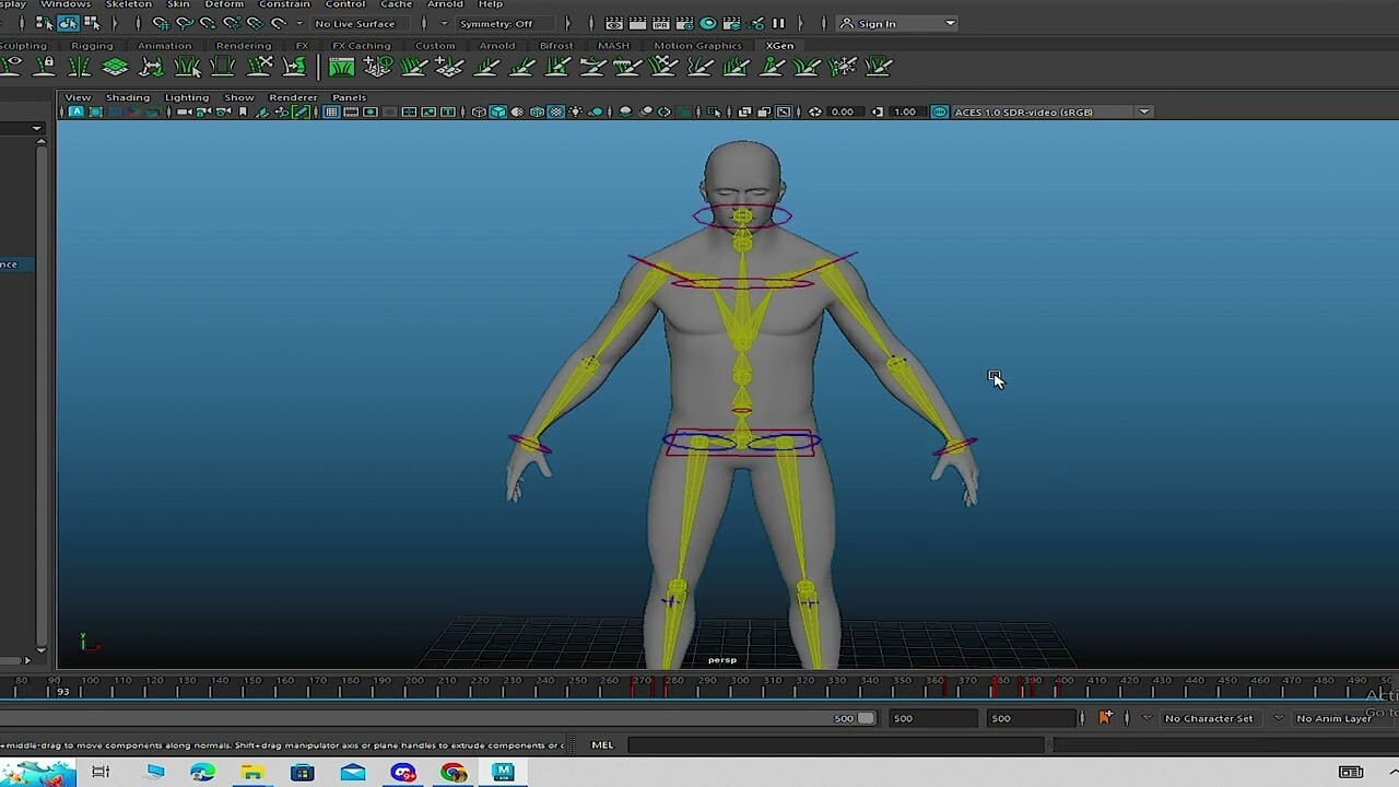ArtStation - Human rigging