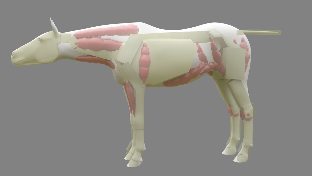 ArtStation - Horse rig test