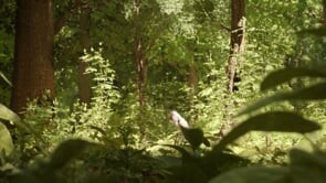 ArtStation - Taming Fire