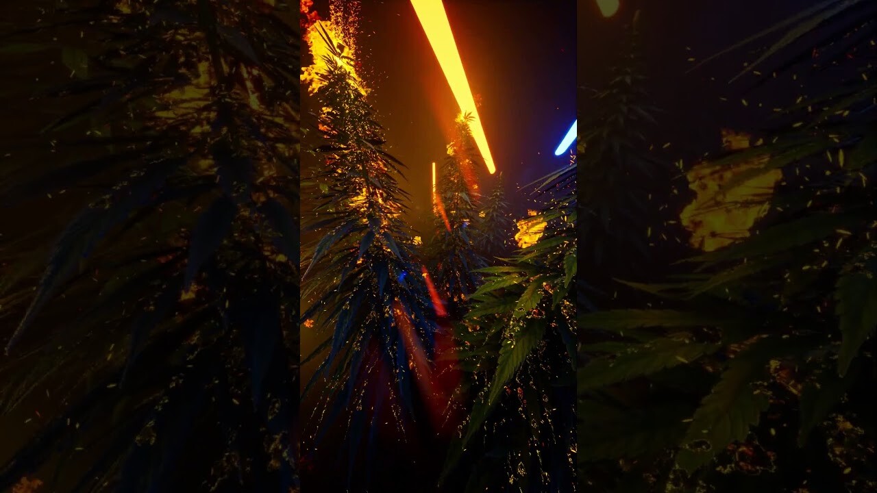 ArtStation - Camabis | VFX Niagara | Fire | UE5.1