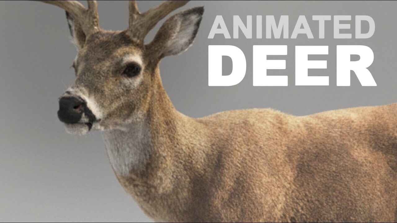 ArtStation - Deer Animations