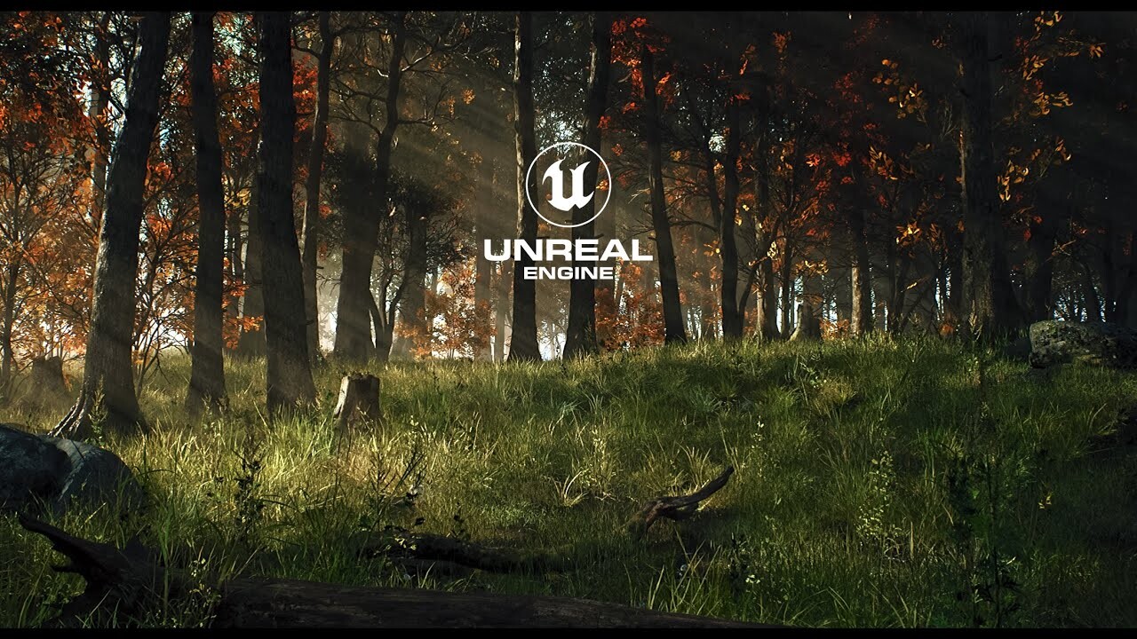 ArtStation - Cinematic Forest