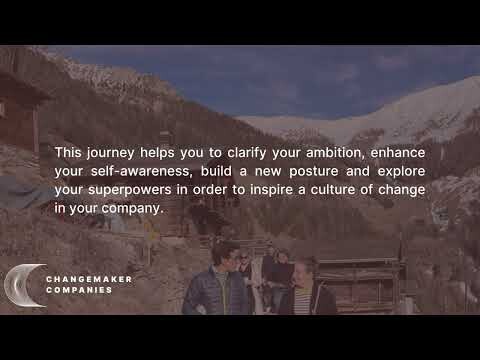 ArtStation - Vidéo publicitaire/informative pour " Changemaker Companies"