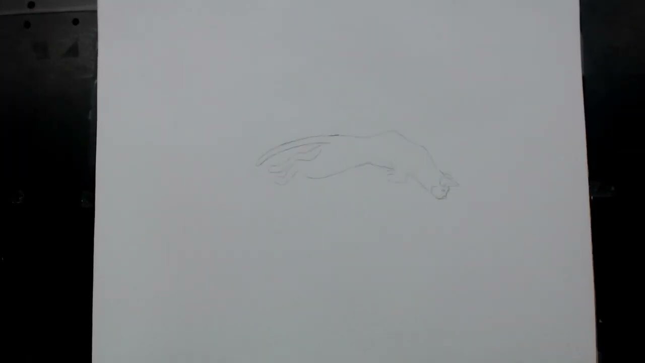 ArtStation - Cat Pounce - Secondary Action Paper Animation