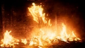 ArtStation - Fire's Wrath