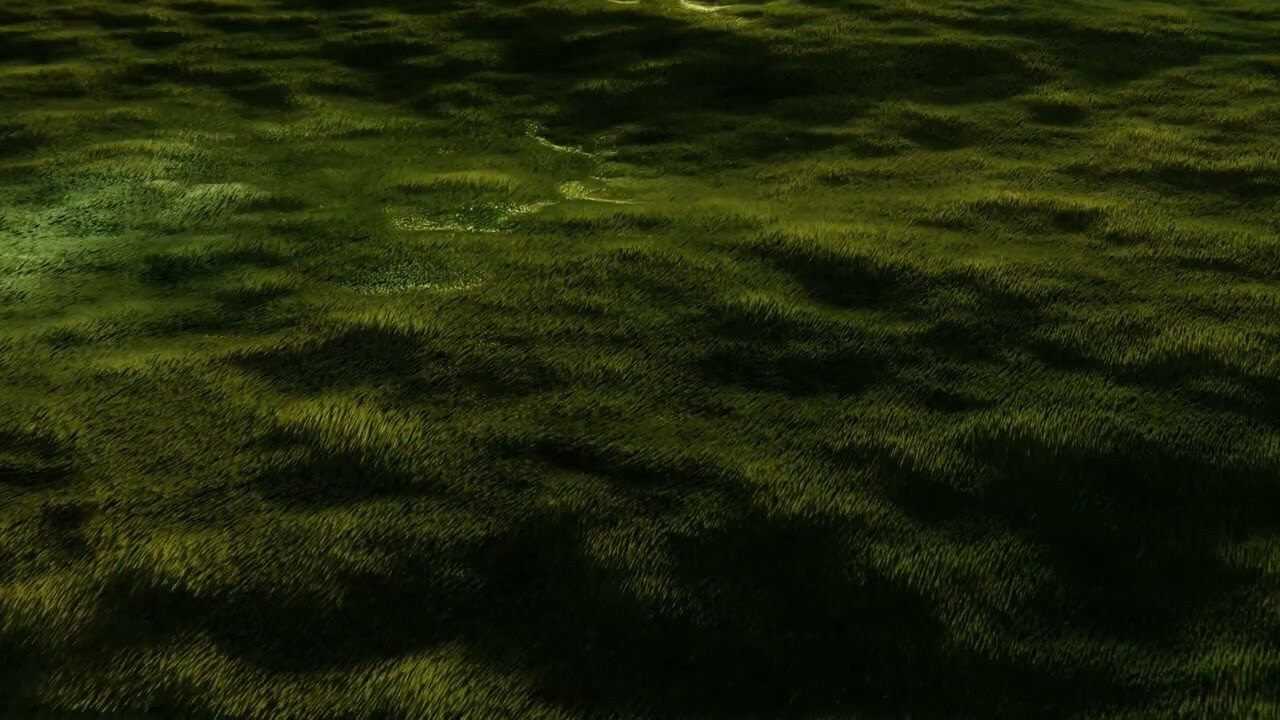 ArtStation - Procedural grass field