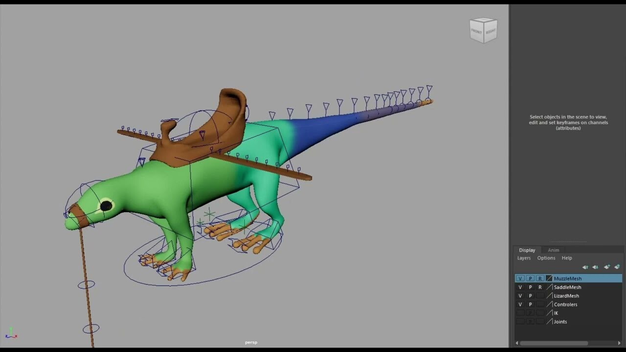 Steph Wooten - Lizard Mount Rig
