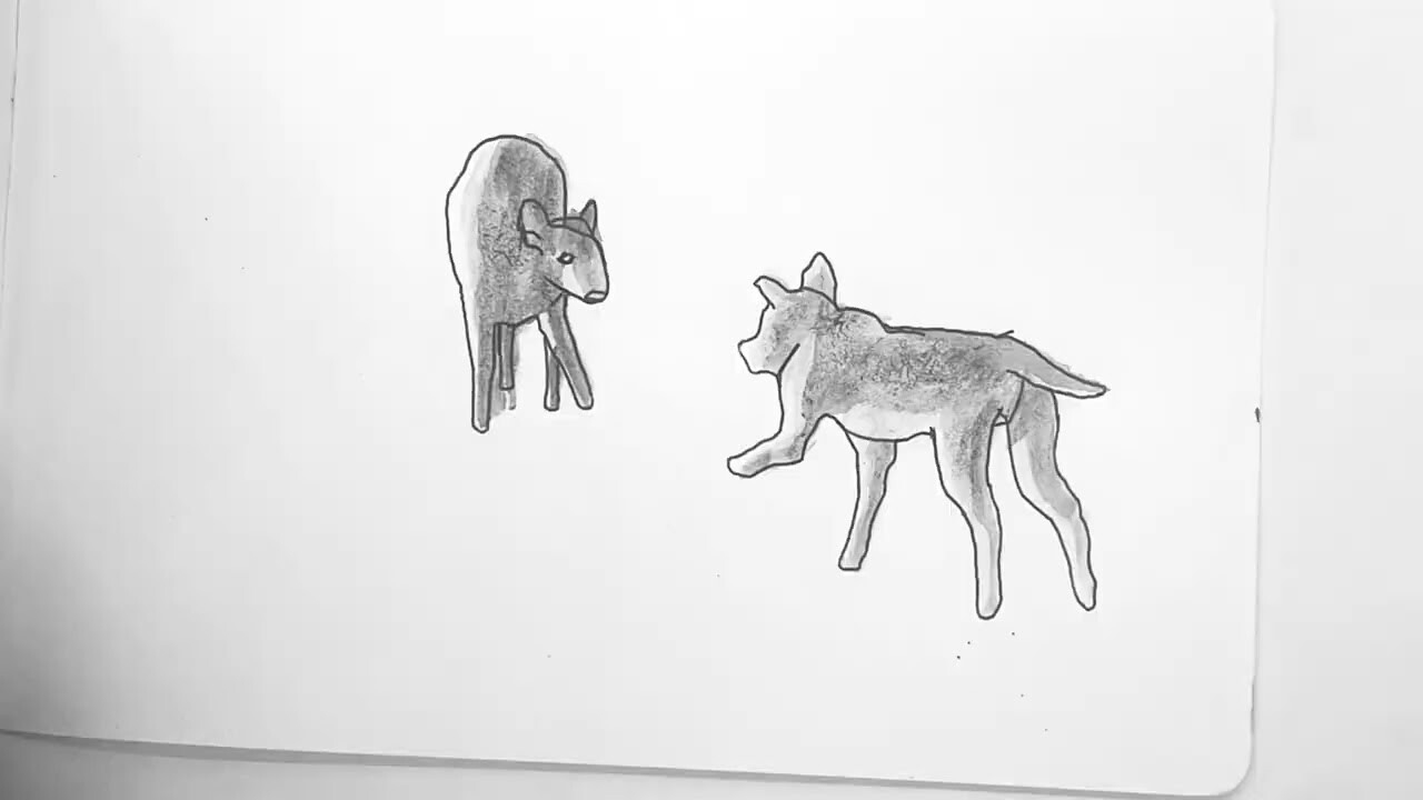 ArtStation - Deer and Dog Playing Animation
