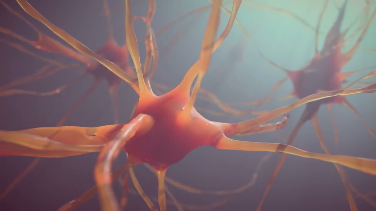 ArtStation - Neuro animation