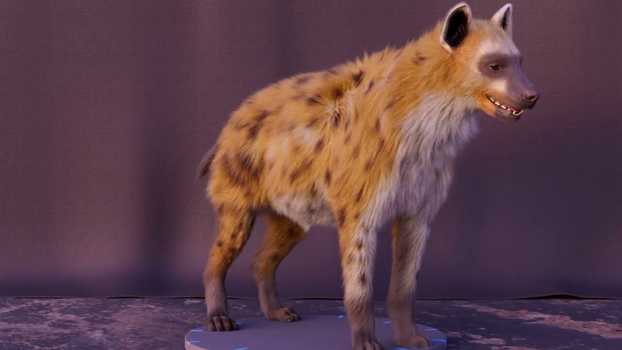 ArtStation - Hyena Groom Techniques in Houdini