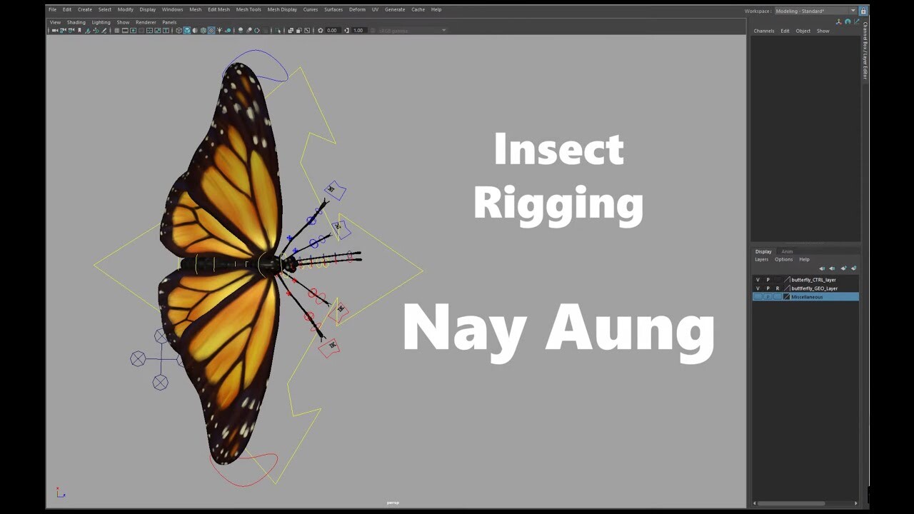 ArtStation - Insect Rigging
