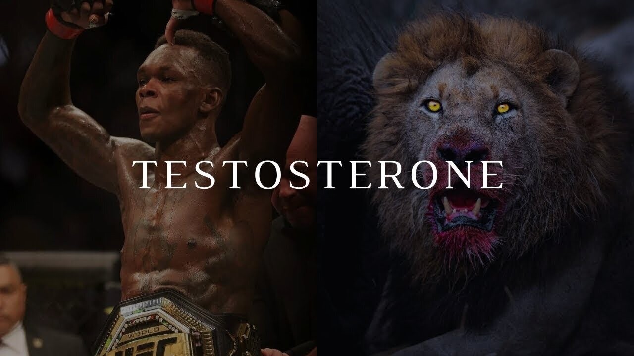 ArtStation - TESTOSTERONE EDIT