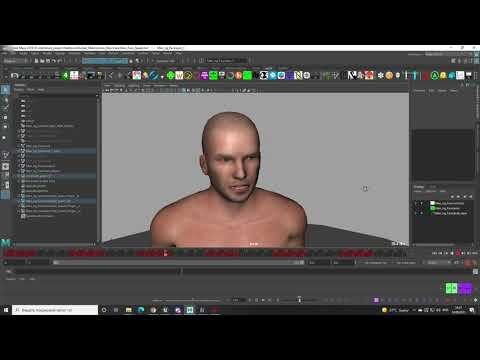 ArtStation - FAce rig and animations