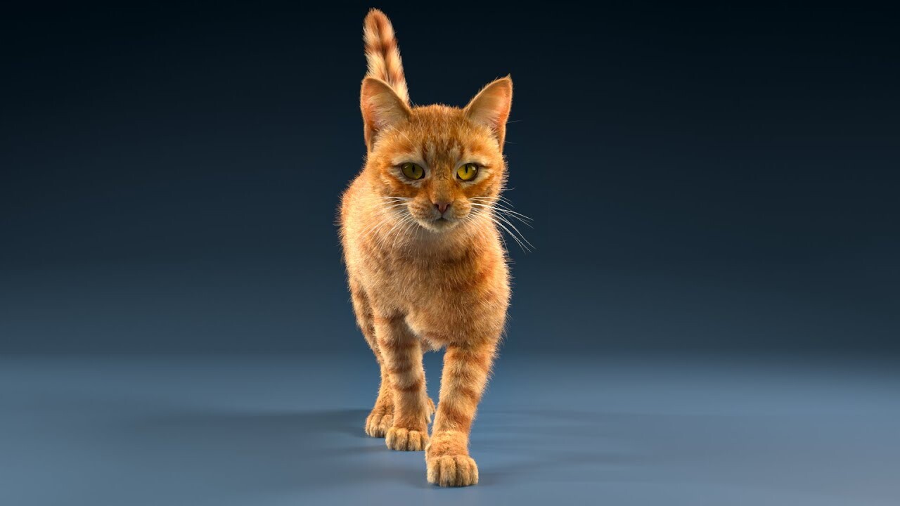 ArtStation - cat Animated 3d