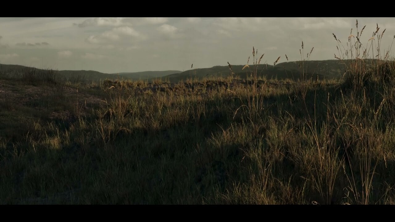 ArtStation - cinemating realistic grass in Maya with MASH!