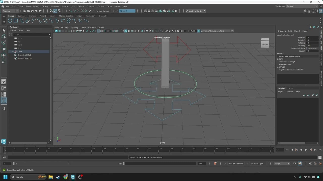 ArtStation - Cube Rig
