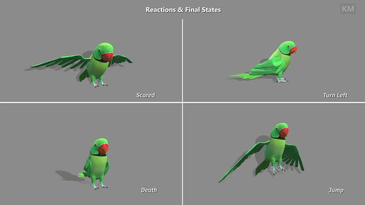ArtStation - Ultimate Parrot Animations & Skins Pack