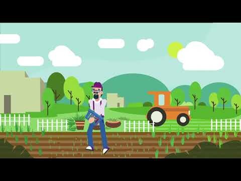 ArtStation - Green salad 2D animation Explainer