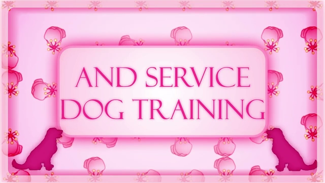 ArtStation - Motion Design Blitz