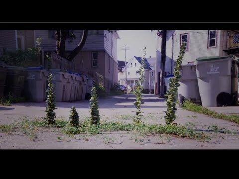 ArtStation - Growing Plants - VFX