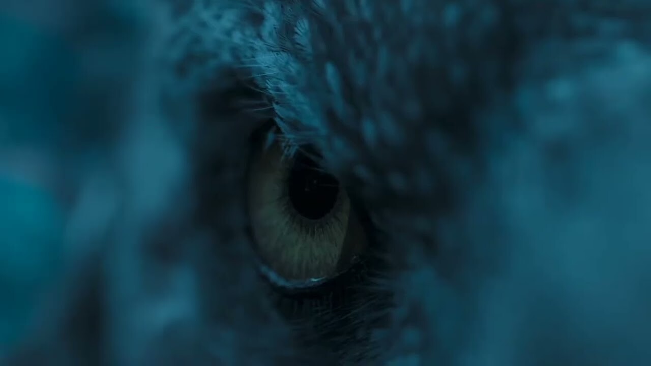 ArtStation - Prehistoric Planet Dromeosaurs