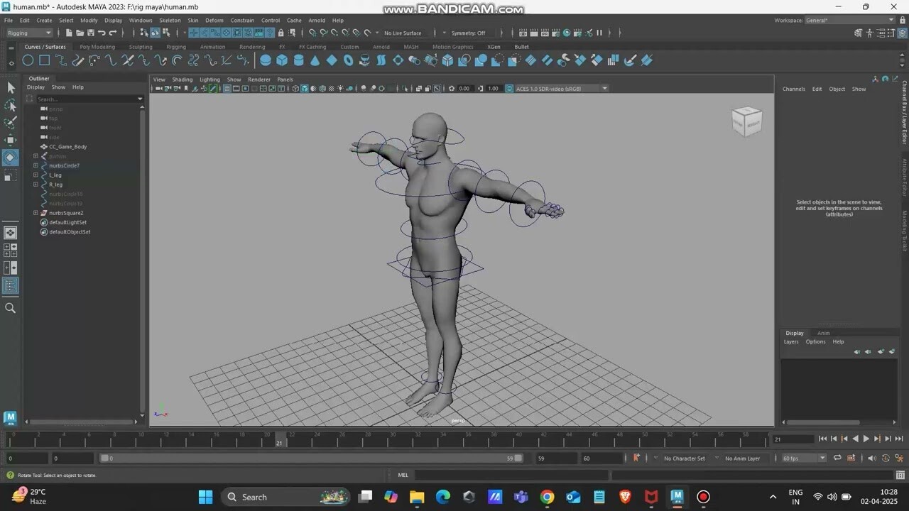 ArtStation - Human rig