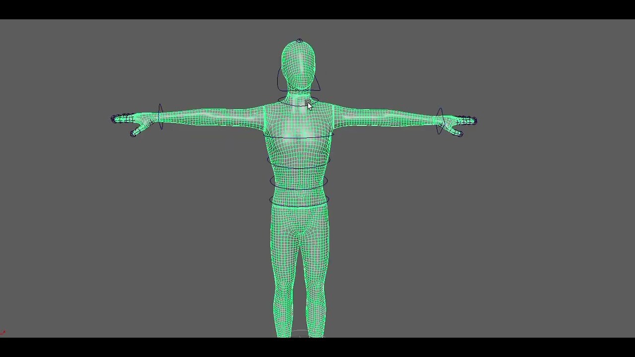 ArtStation - Character Rigging
