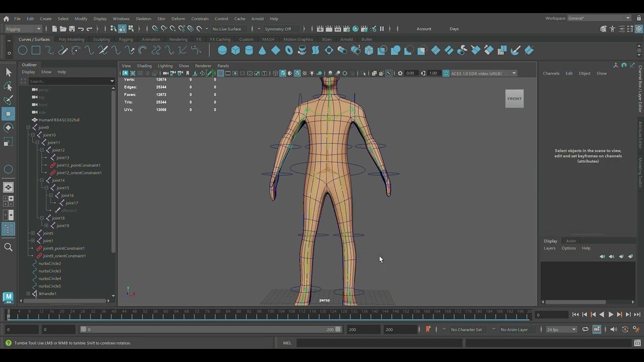 ArtStation - Human rigging.