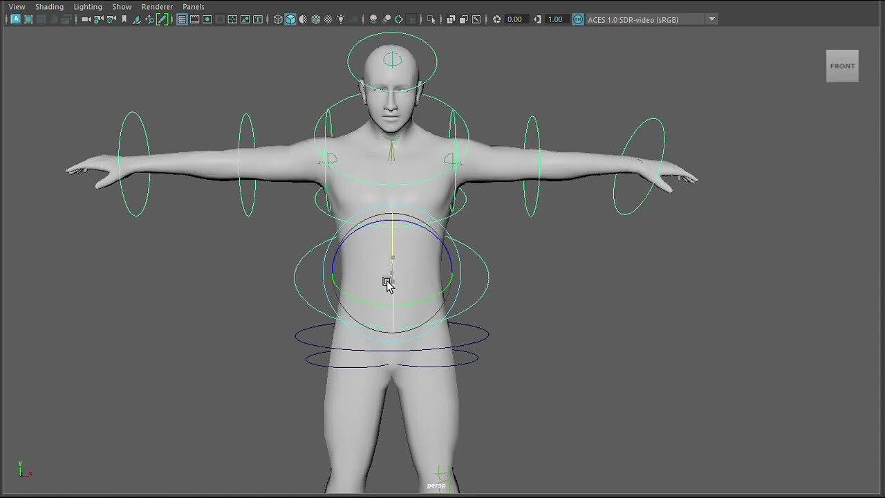 ArtStation - Human rigging