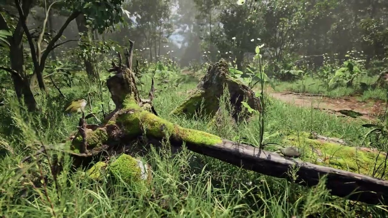 ArtStation - PCG Forest