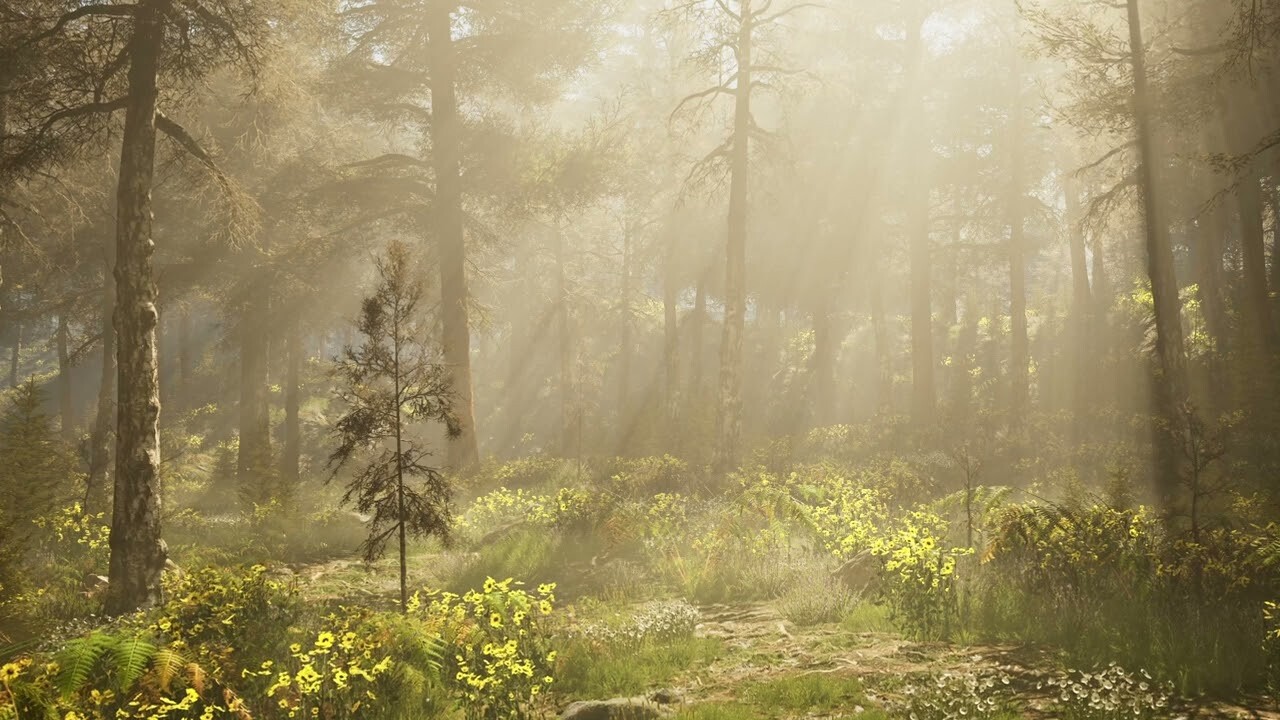 ArtStation - Forest_env