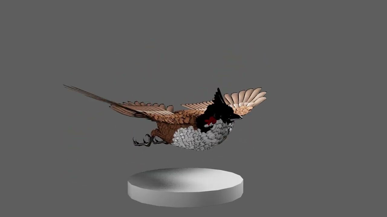 ArtStation - Bird | Idle and Flight Cycles