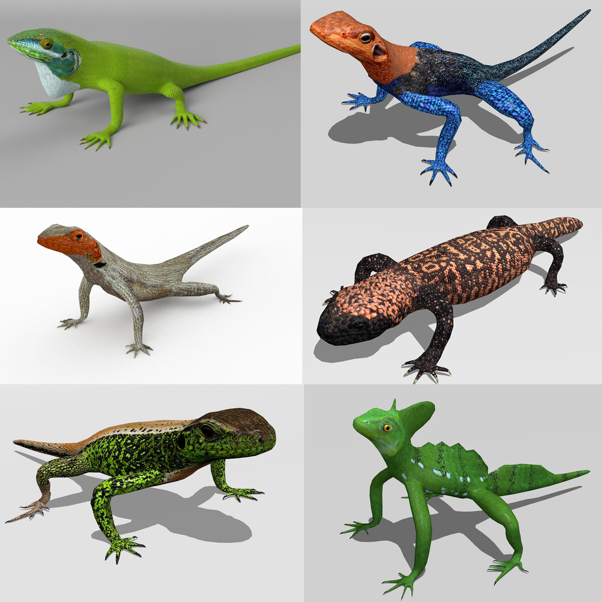 ArtStation - Lizards bundle