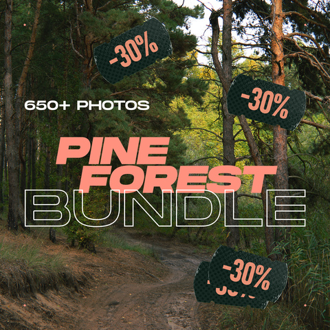 ArtStation - EP13 / Coastal Pine Forest / Reference pack | Resources