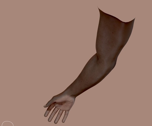 ArtStation - First Person Arms | Game Assets